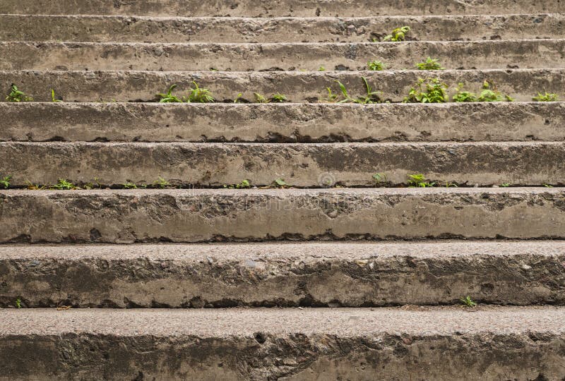 Old Stairs with Crumbling Steps Overgrown with Green Plants Stock Image ...