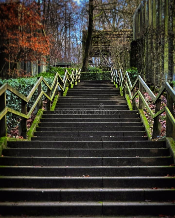 Old Stairs in Forest. Moss Coverd with Stone Steps in Forest in ... Old Stairs in Forest. Moss Coverd with Stone Steps in Forest in ...