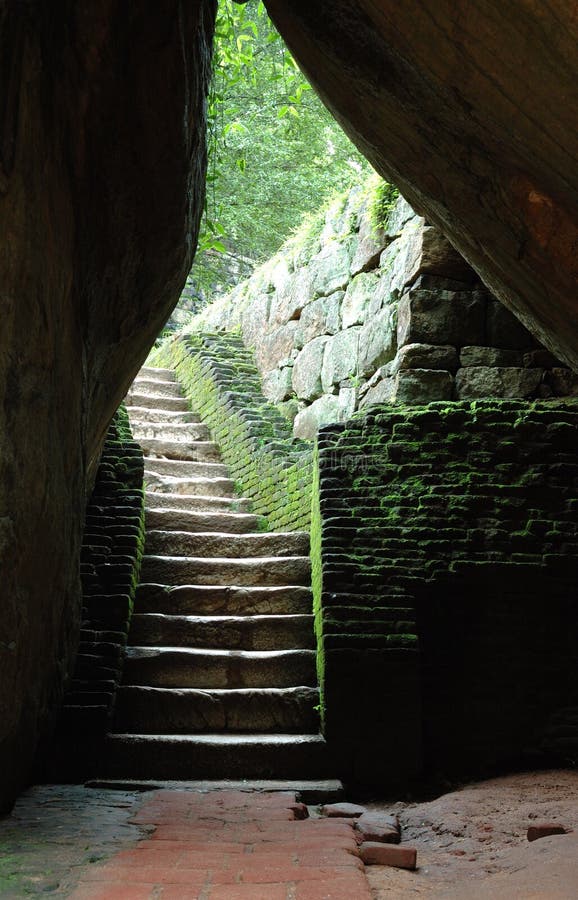 Old stairs to cave stock image. Image of cellar, covered - 12731519