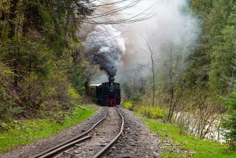 Old Steam Train of Maramures in Viseu Stock Image - Image of variety ...