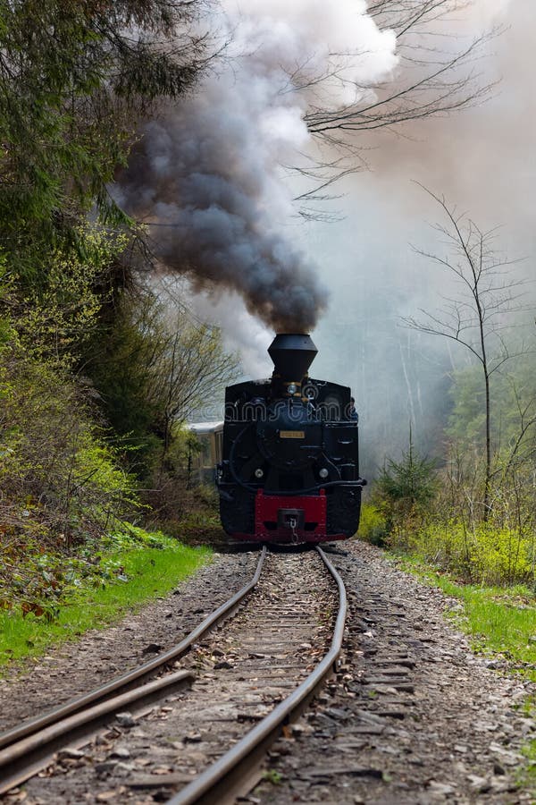 Old Steam Train of Maramures in Viseu Editorial Image - Image of wide ...