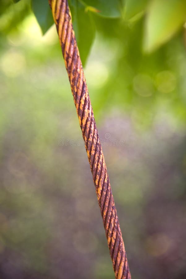 109 Steel Rusted Cables Stock Photos - Free & Royalty-Free Stock Photos ...