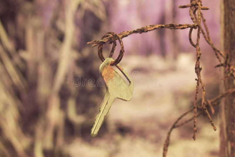 The Old Steel Key on the Rusty Bard Wire Line. Stock Image - Image of ...
