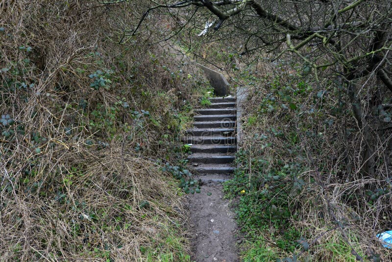 Old steps stock photo. Image of stairs, wwii, unused - 110413744