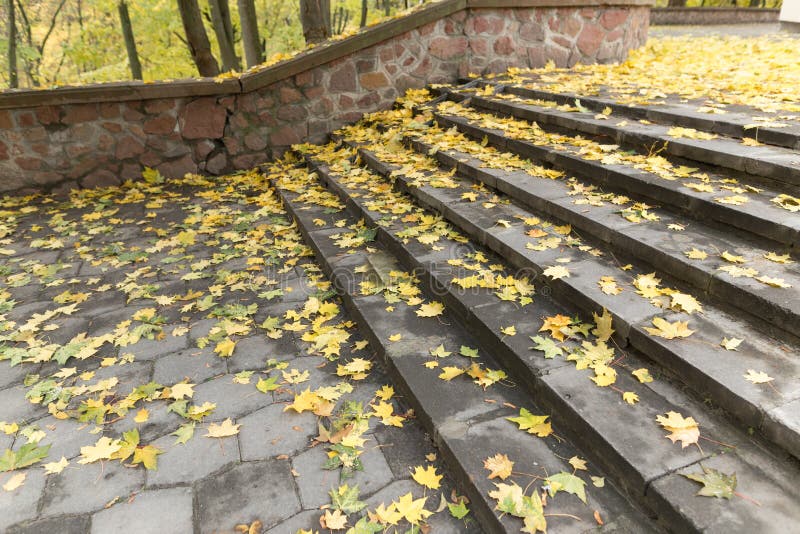 Old Steps in a Forest during the Autumn Time. Stock Image - Image of ...