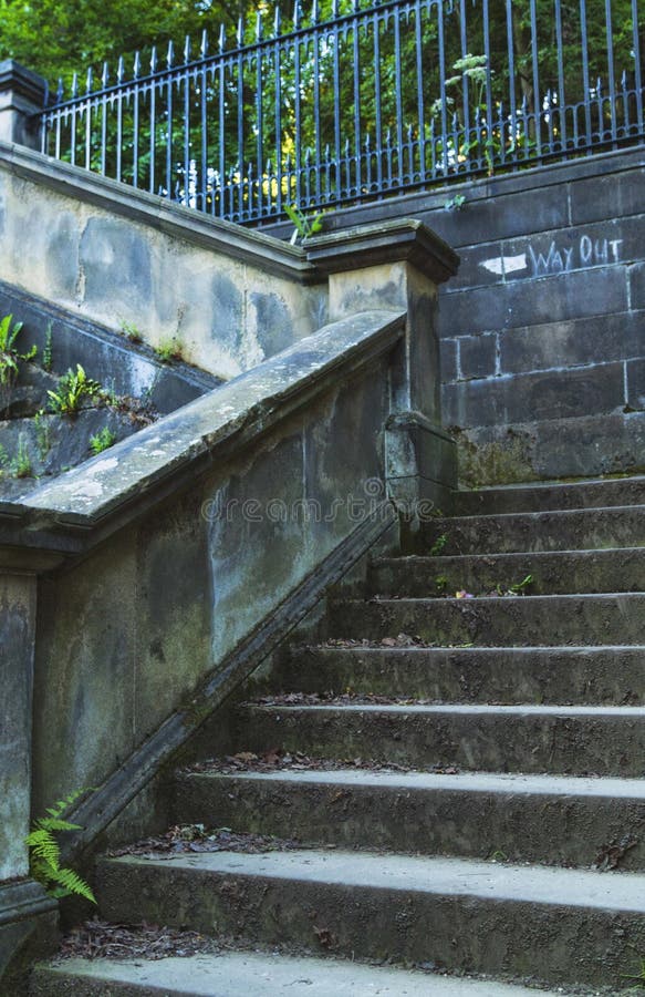 Old steps in Edinburgh stock image. Image of tree, ancient - 104255711