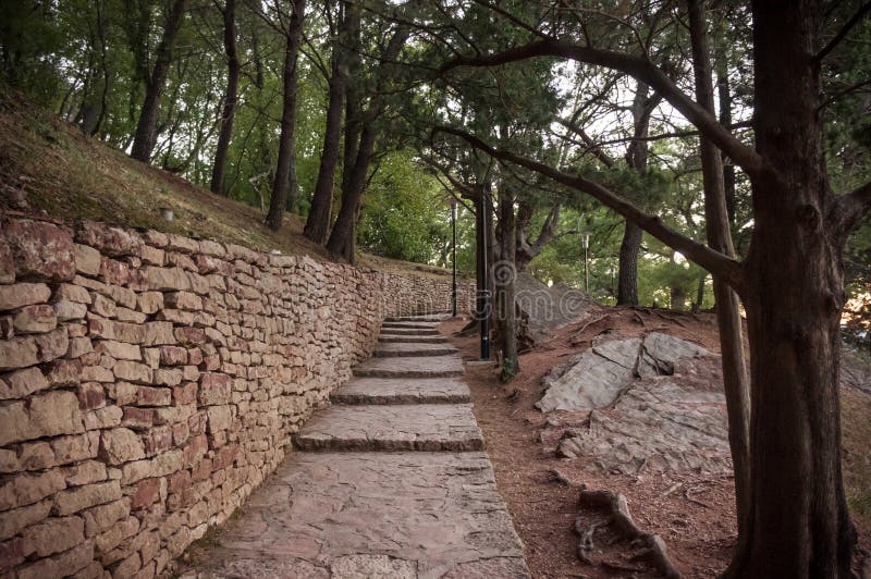 Old steps in the park stock photo. Image of ancient, obsolete - 53689424