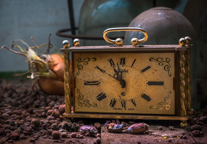 An old still life. stock photo. Image of beauty, still - 91612210