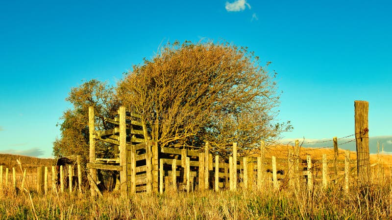 Old Stock Loading Ramp Bush Stock Photos - Free & Royalty-Free Stock ...