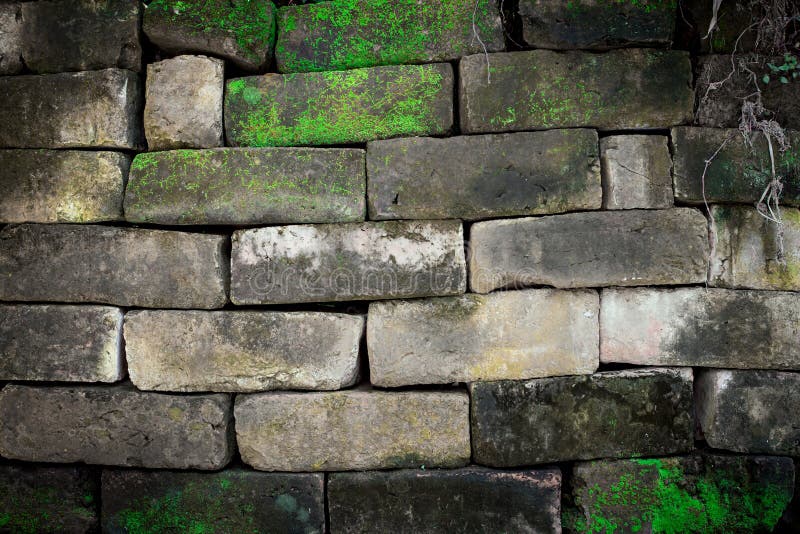 Old Stone Brick Wall with Moss Stock Image - Image of nature, texture ...