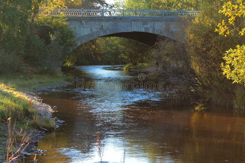 Old Stone Bridge Across Small Stream in the Woods Stock Image - Image ...