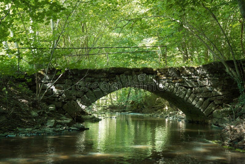 Old Stone Bridge Over the River in Dense Forest Stock Photo - Image of ...