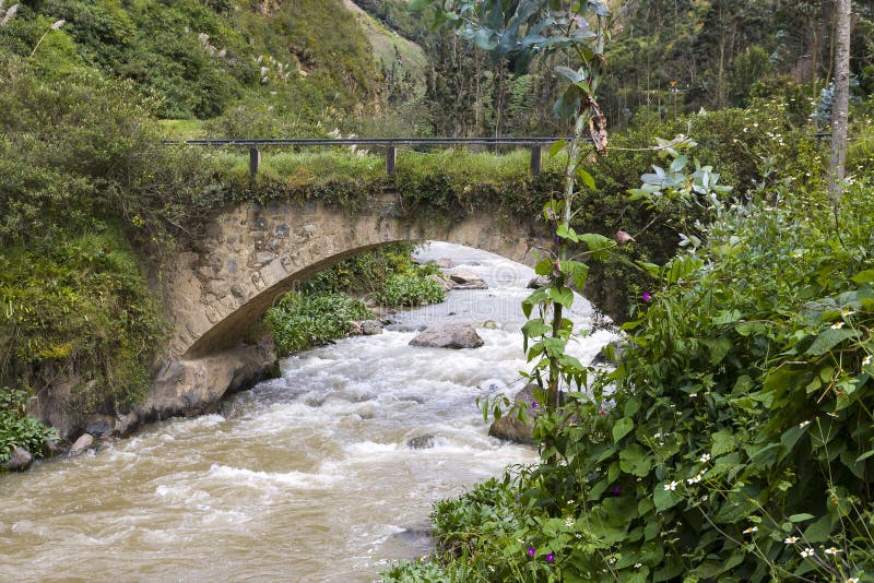 Old Stone Bridge Over a Small River Overgrown with Green Plants (Peru ...