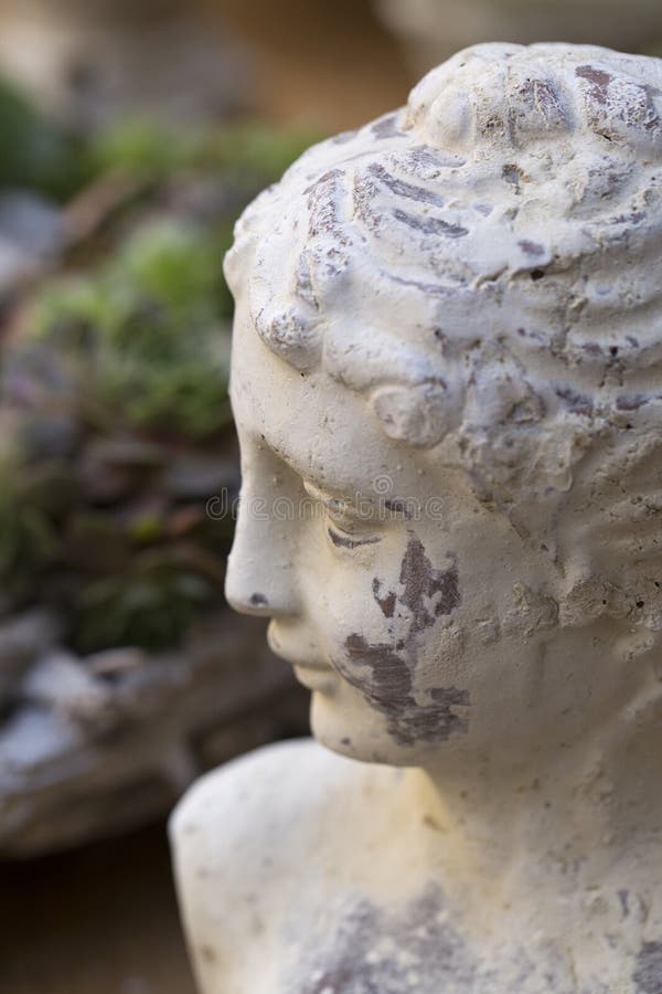 Stone Bust Planter with Carved Statue Face Stock Image - Image of ...