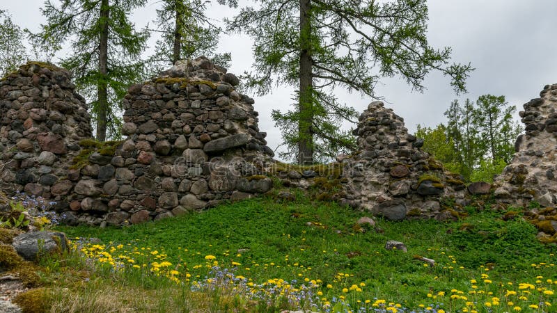 Old Stone Castle Ruins, Colorful Spring Flowers in the Foreground Stock ...