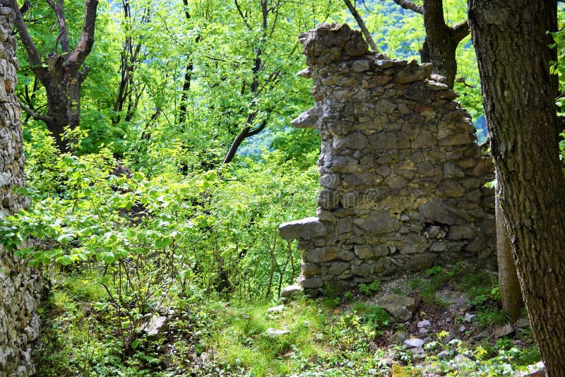 Old Stone Castle Ruins in Forest. Hot Summer Day Stock Photo - Image of ...