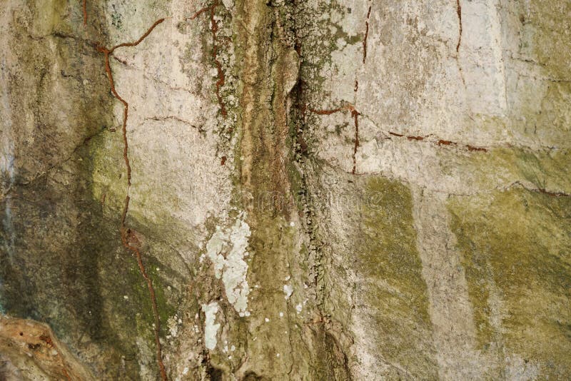 Old Stone Cave. Nature Stone Wall Texture Stock Image - Image of water ...