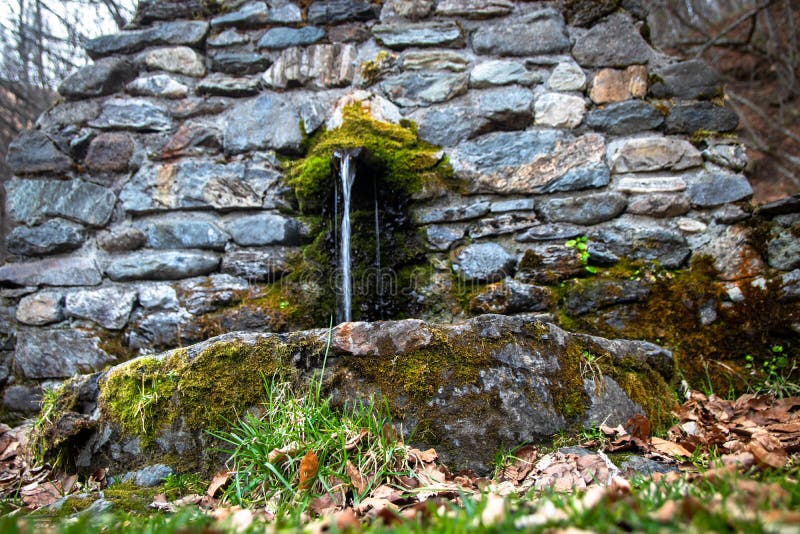 Old Stone Drinking Fountain in the Forest Stock Image - Image of ...