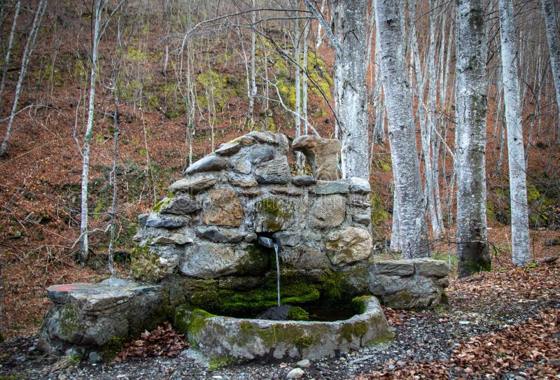 Old Stone Drinking Fountain in the Forest Stock Photo - Image of ...