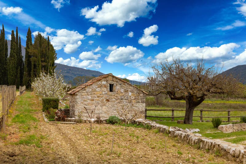 Old Stone Farm Barn in Spring Vineyard. Europe Stock Image - Image of ...