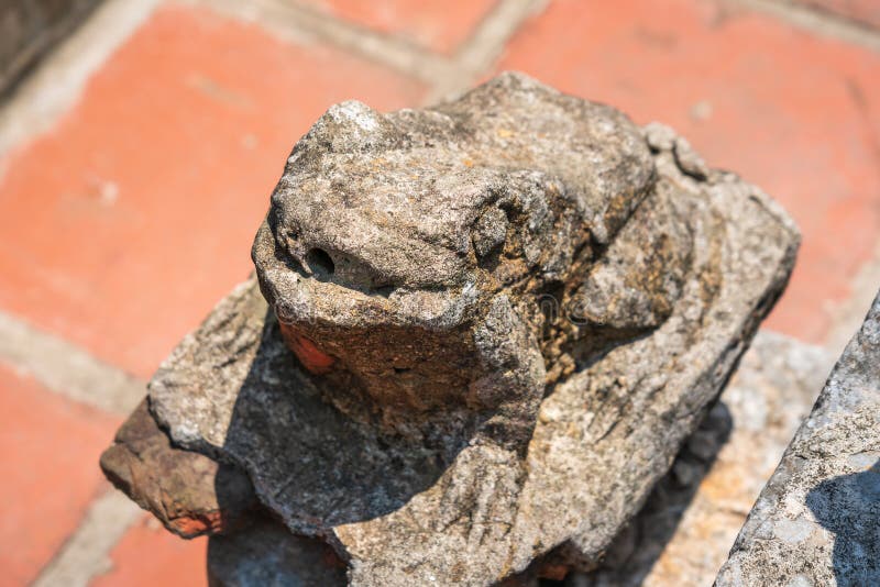 Old Stone Frog stock photo. Image of green, foliage, grunge - 56124614