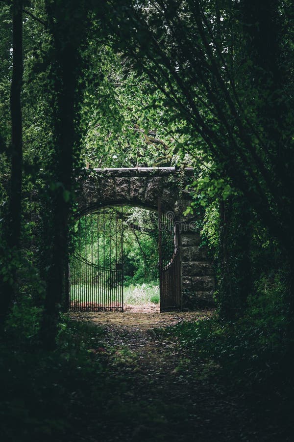 Old Stone Gate Surrounded by Tall Trees Stock Image - Image of outdoors ...