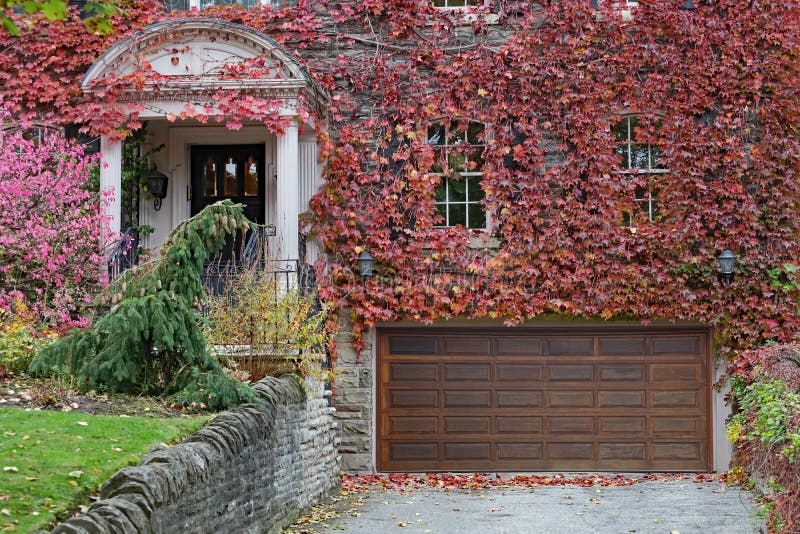 Old Stone House Covered with Vines Changing Color in Fall Stock Photo ...