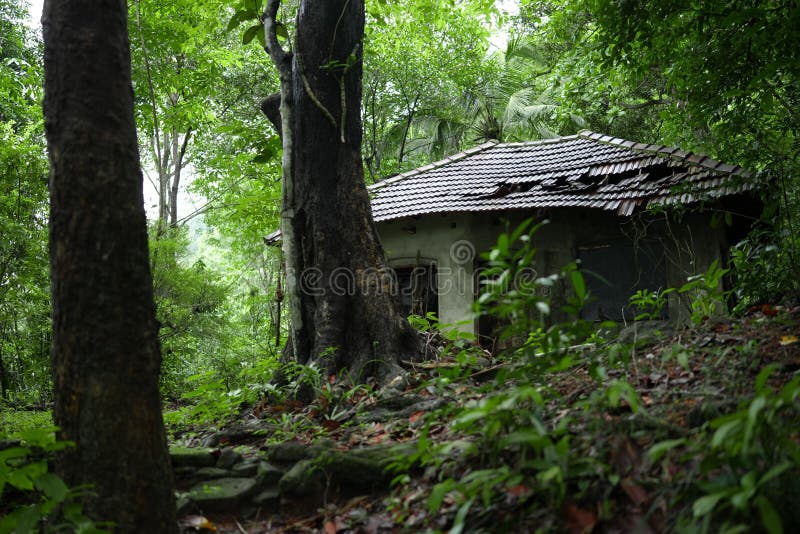 Old Stone House in the Middle of Lush Green Forest Stock Image - Image ...