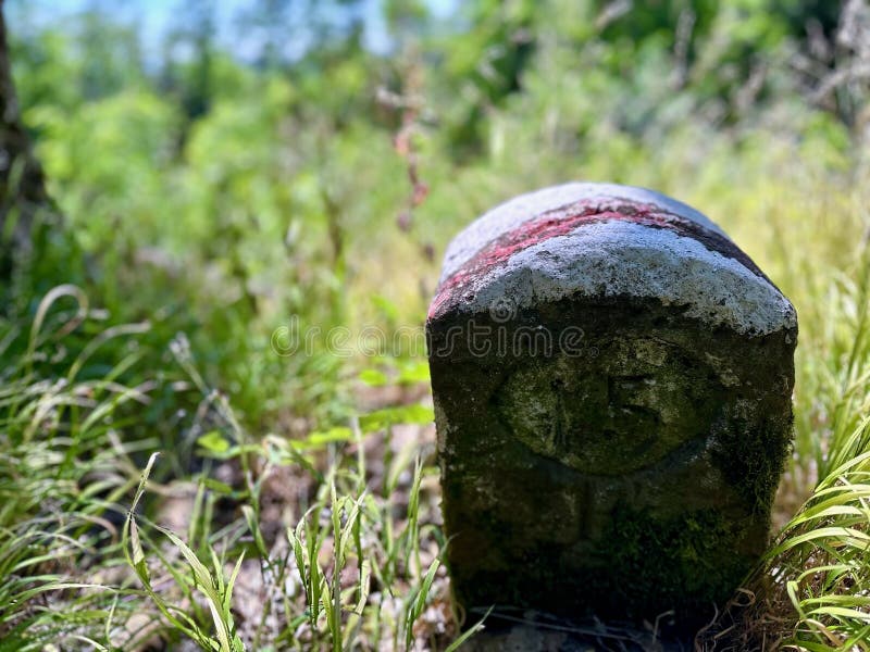 Old Stone Milestone Marker Surrounded by Green Vegetation in a Sunlit ...