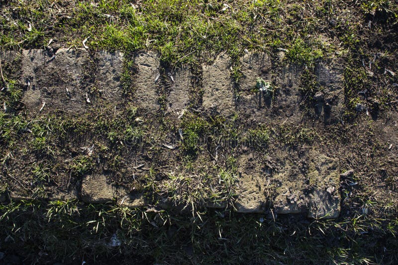 Old stone path stock photo. Image of rock, steps, plants - 145227360