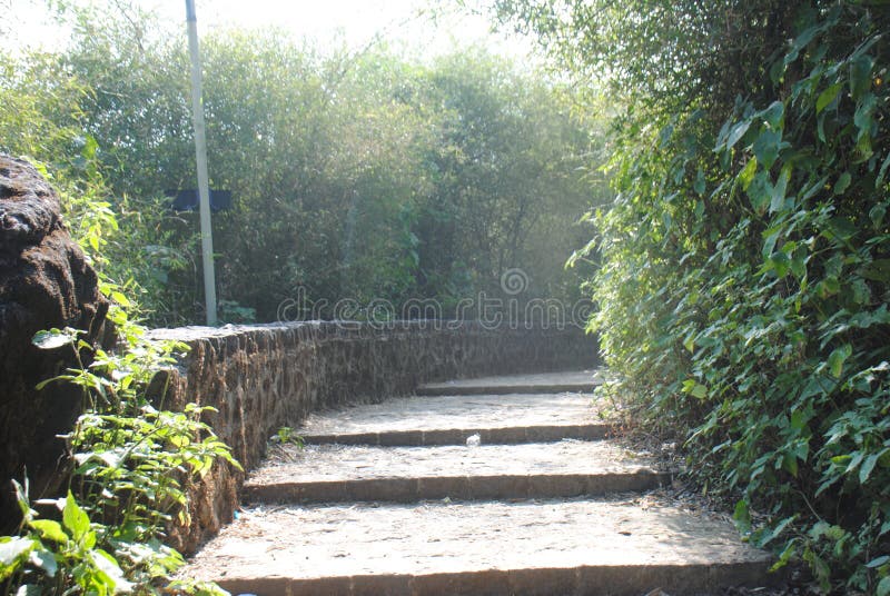 Old Stone Path in To the Jungle Stock Photo - Image of nature, steps ...