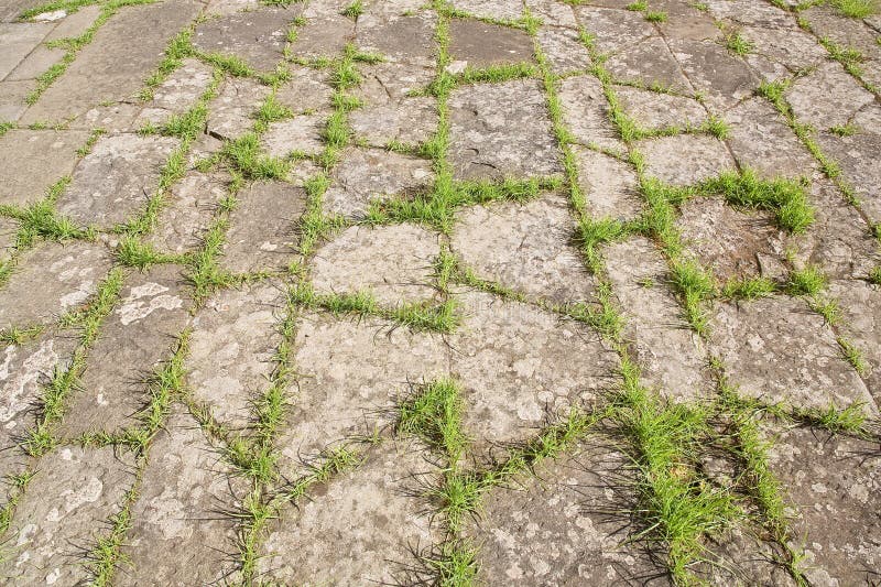 Old Stone Paving I with Irregularly Shaped Stone Blocks in a Pedestrian ...