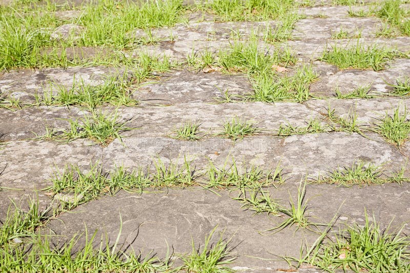 Old Stone Paving I with Irregularly Shaped Stone Blocks in a Pedestrian ...