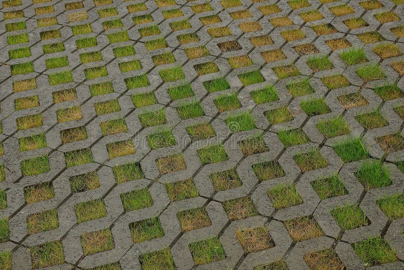 Stone Paving Slab in the Grass on the Road Stock Photo - Image of ...