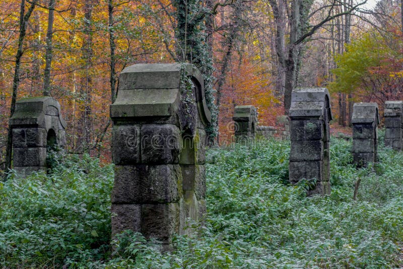 Old Stone Pillars in the Forest Overgrown with Plants Stock Image ...