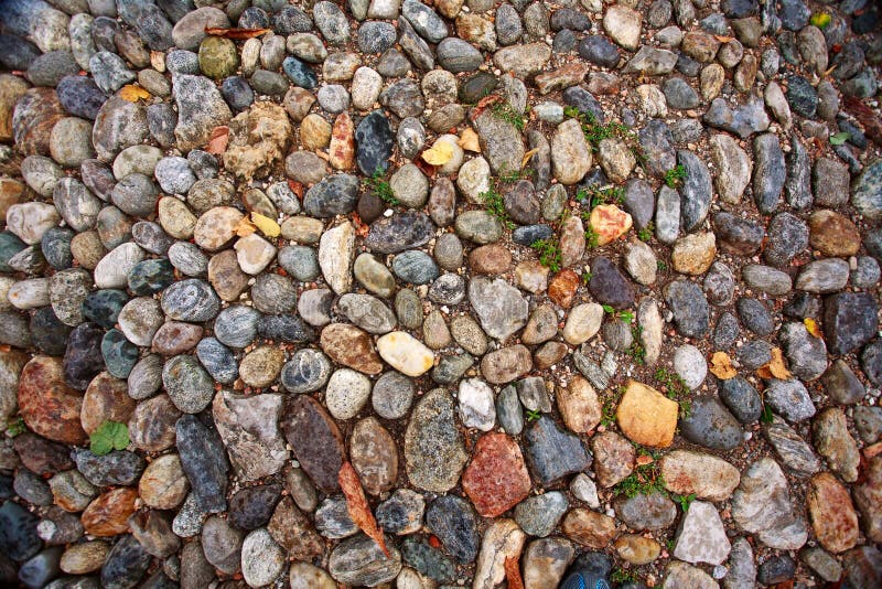 Road to Red Rock Canyon stock image. Image of morning - 3371207