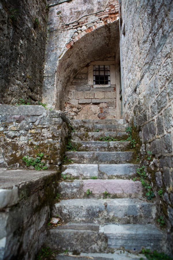 Old Stone Stairs Covered with Moss Stock Image - Image of kotor ... Old Stone Stairs Covered with Moss Stock Image - Image of kotor ...