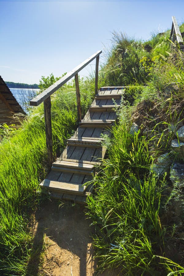Old stone stairs on a hill stock photo. Image of tree - 255890830