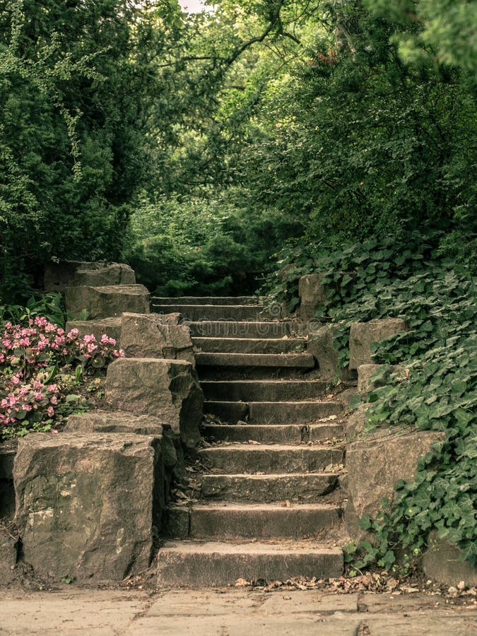 Old Stone Stairs In The Park Stock Photo - Image of staircase ...