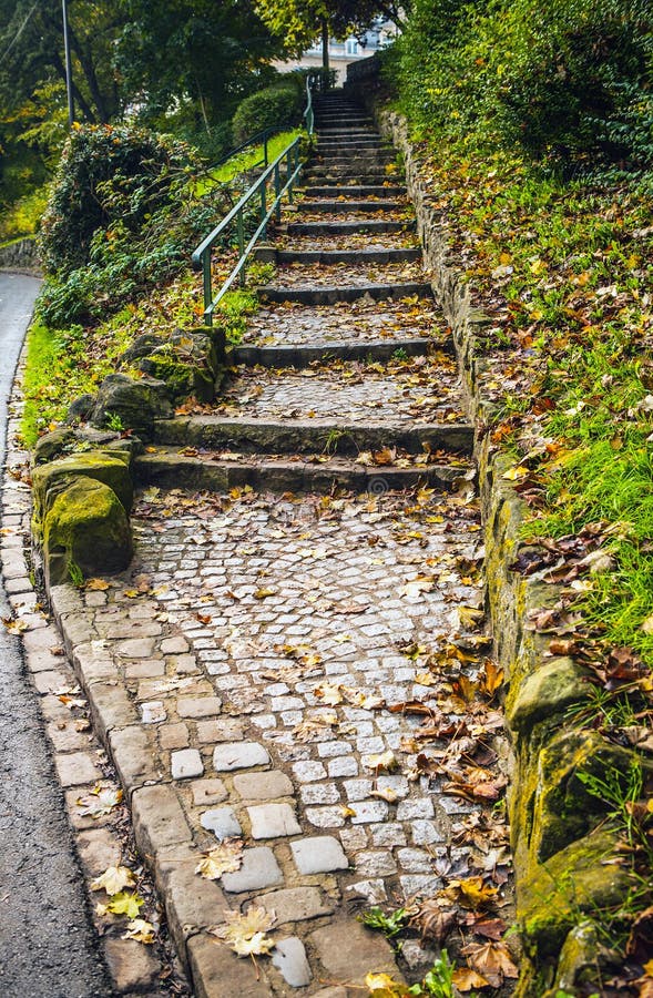 Old Stone Steps in Autumn Park Stock Image - Image of mist, park: 69499713
