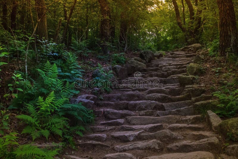 Old Stone Steps in the Forest Stock Image - Image of ancient, stairway ...