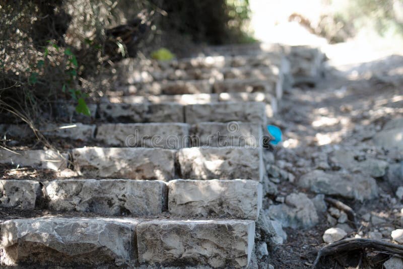 Old Stone Steps in the Forest. Haifa Israel Stock Image - Image of ...