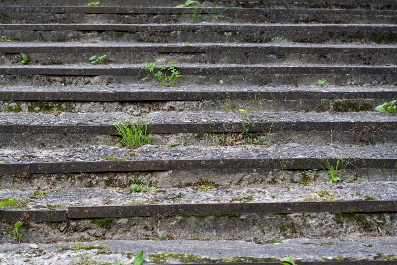 Old stone steps with grass stock photo. Image of path - 187241880