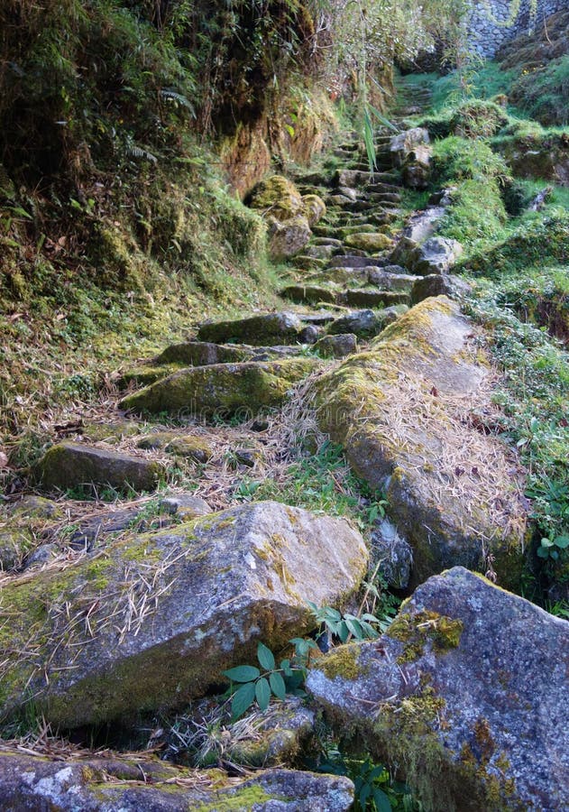Old stone steps stock image. Image of inca, track, path - 89643031