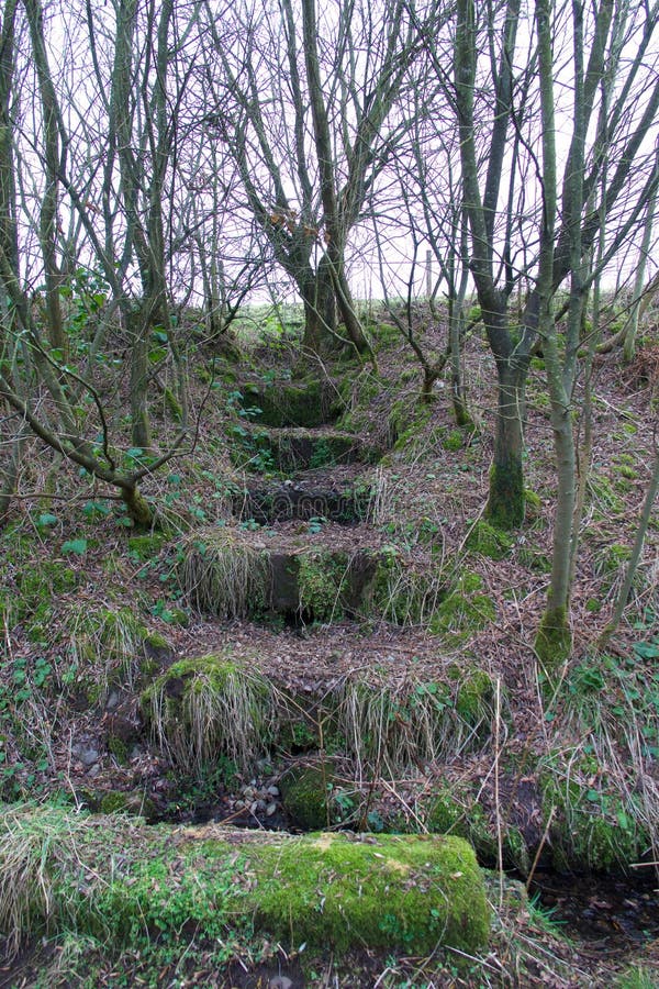 Stone Steps in the Countryside. Stock Photo - Image of steps ...