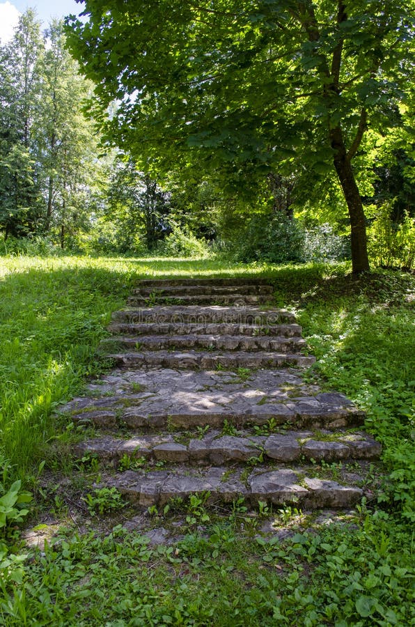Old Stone Steps in the Park Summer Background Stock Photo - Image of ...