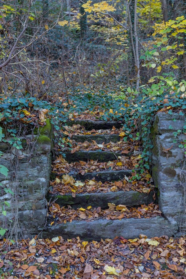 Old Stone Steps stock photo. Image of green, landscape - 126325410