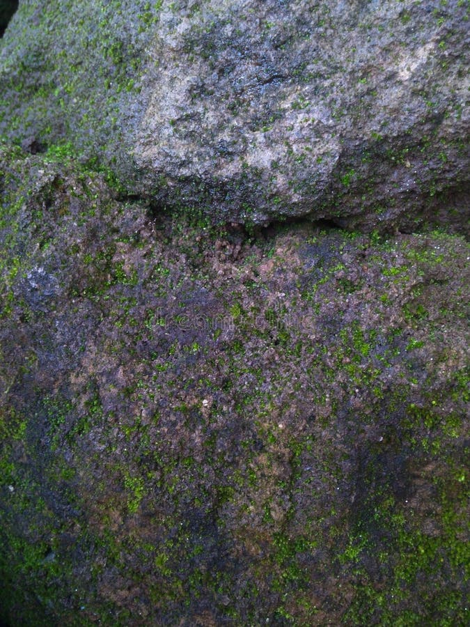 Old Stone Texture with Moss on it. Stock Photo - Image of texture ...