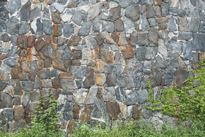 Old Stone Wall with Ivy at the Bottom Stock Photo - Image of leaf, rock ...