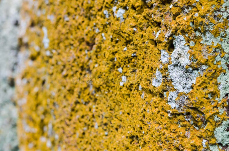 Old Stone Wall, Old Surface, Old Texture. Stock Image - Image of brown ...